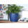 Latitude Run® Peace Lily Cache Pot By- Wayfair Canada