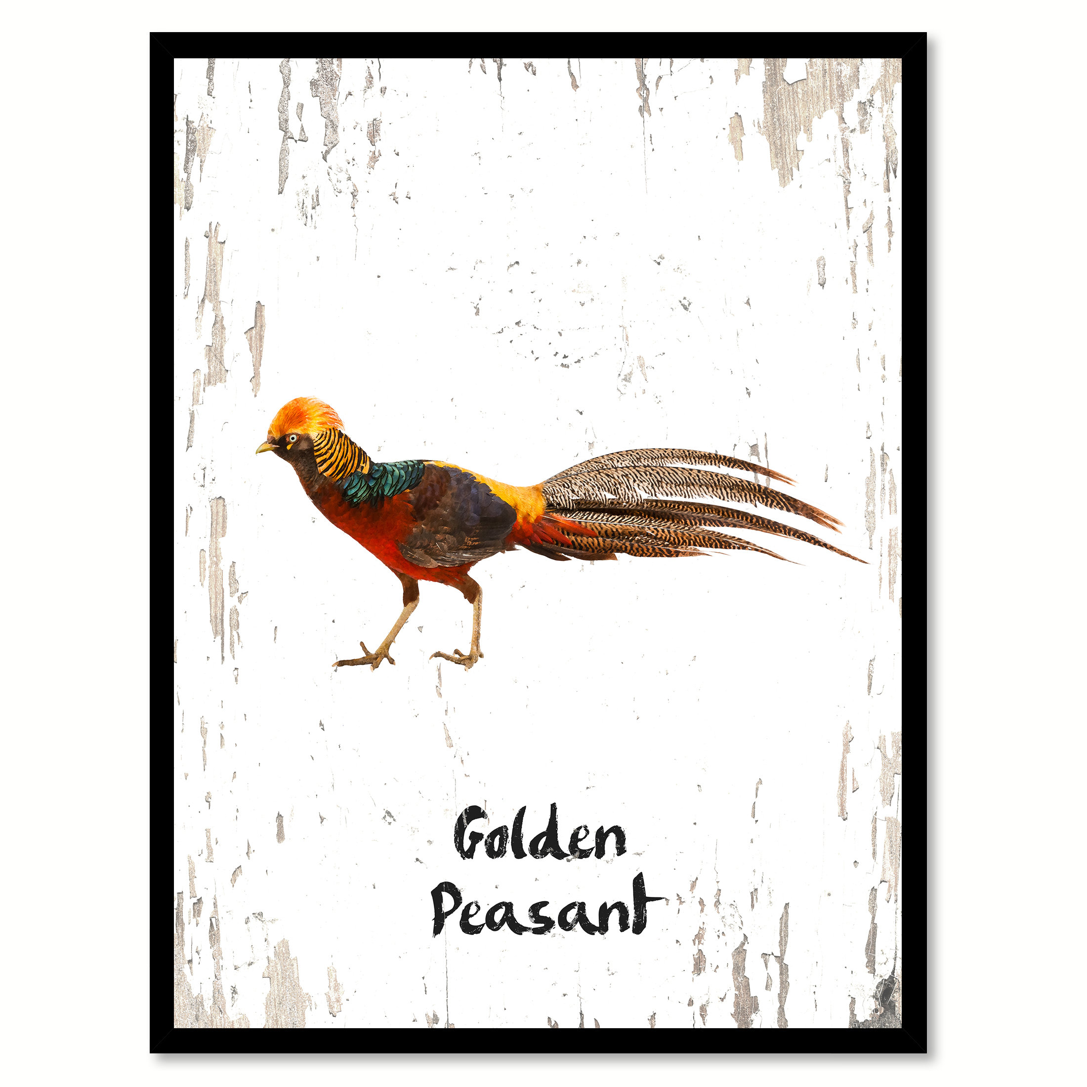 Spot Color Art Golden Peasant Bird Canvas Print, 22x29 | Wayfair