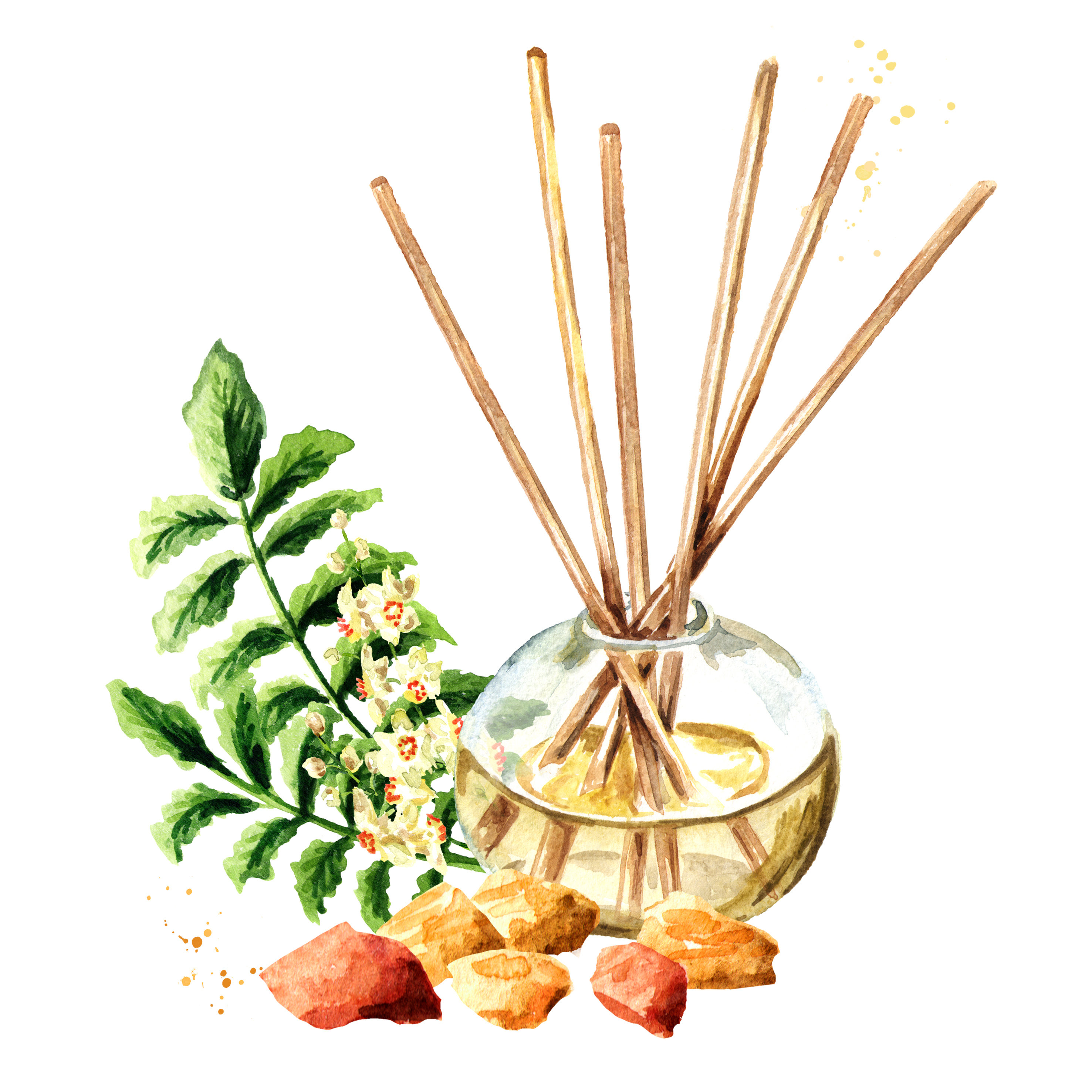 17 Stories Frankincense Aroma Liquid In A Glass Bottle With Sticks by ...