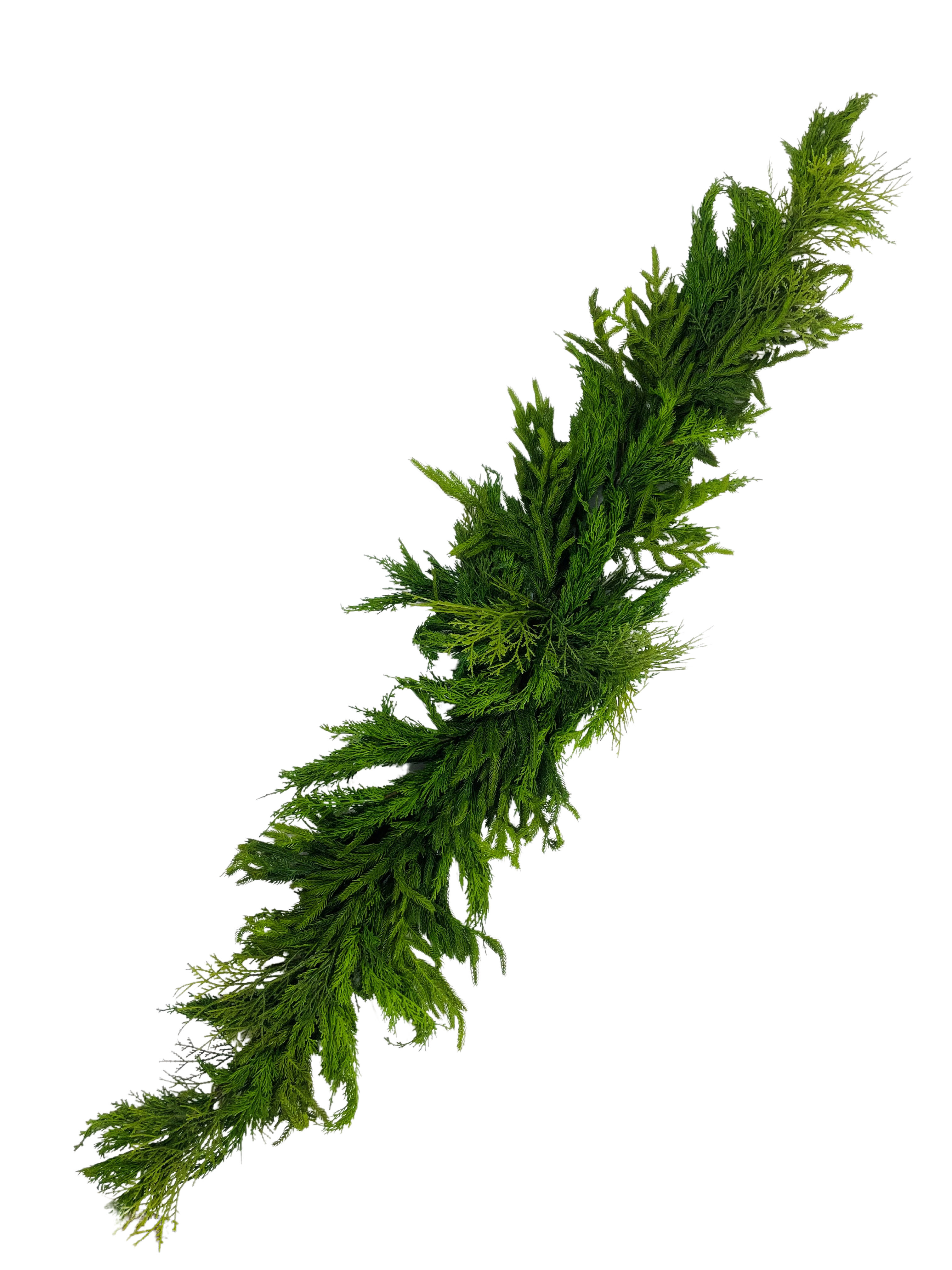 Primrue 6' Swag | Wayfair