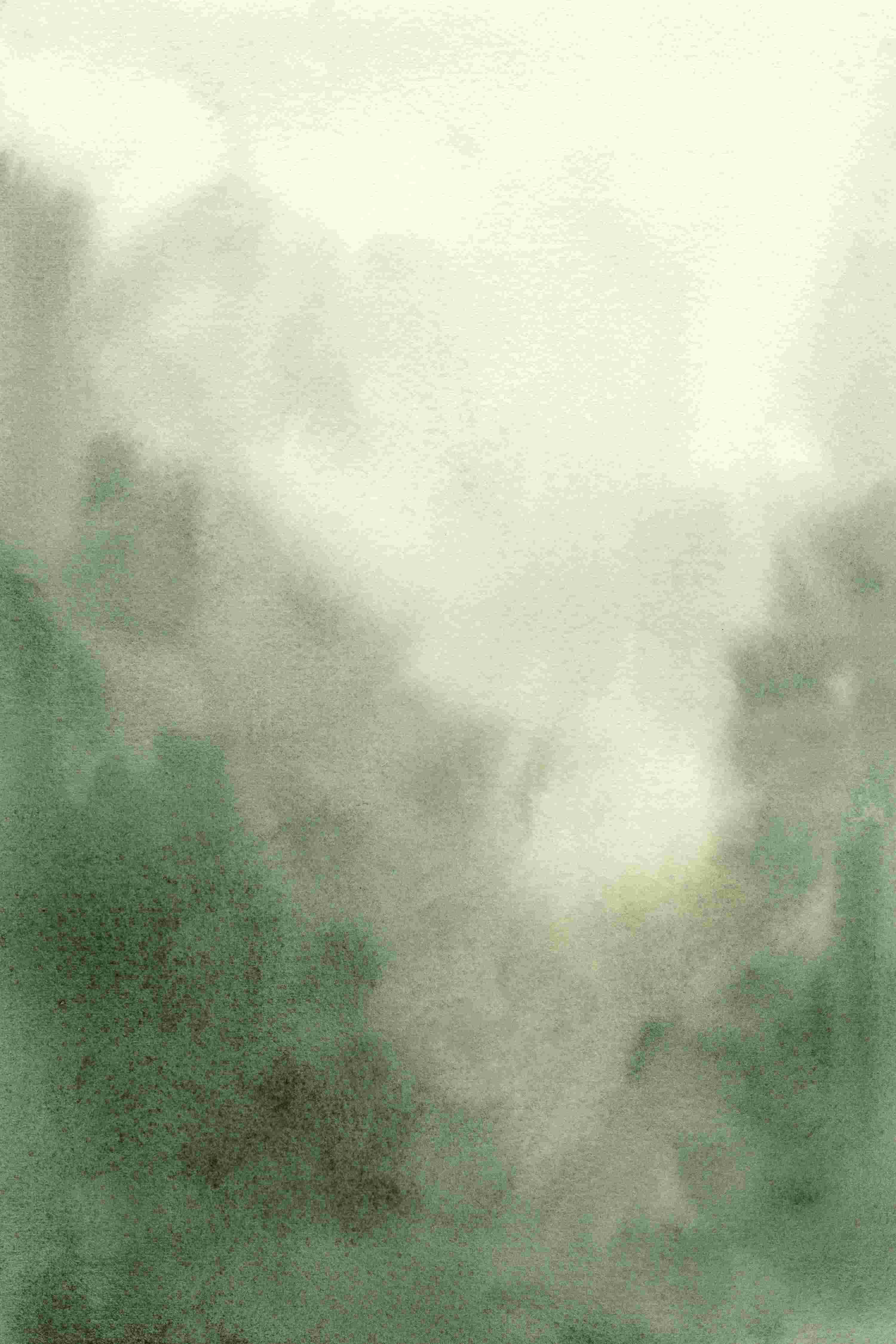 Wrought Studio™ Verdant Fog II by Emma Caroline - Wrapped Canvas ...