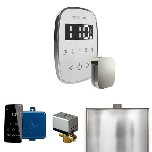 Mr. Steam ButlerFlex Steam Shower Control Package with TempoFlex ...