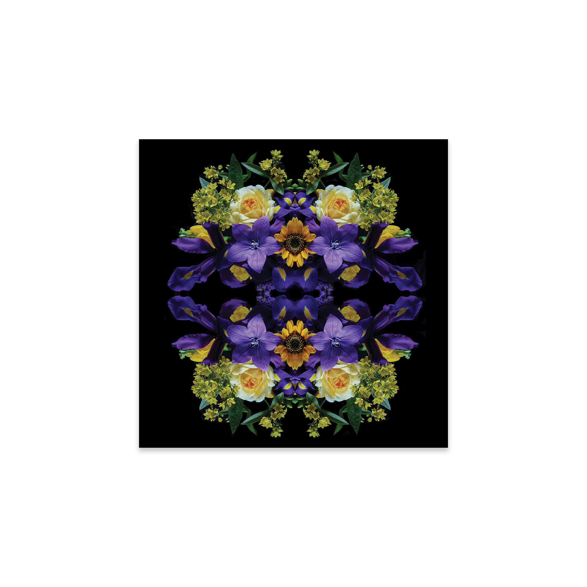 iCanvas Flowers Of Eden Print On Acrylic Glass | Wayfair