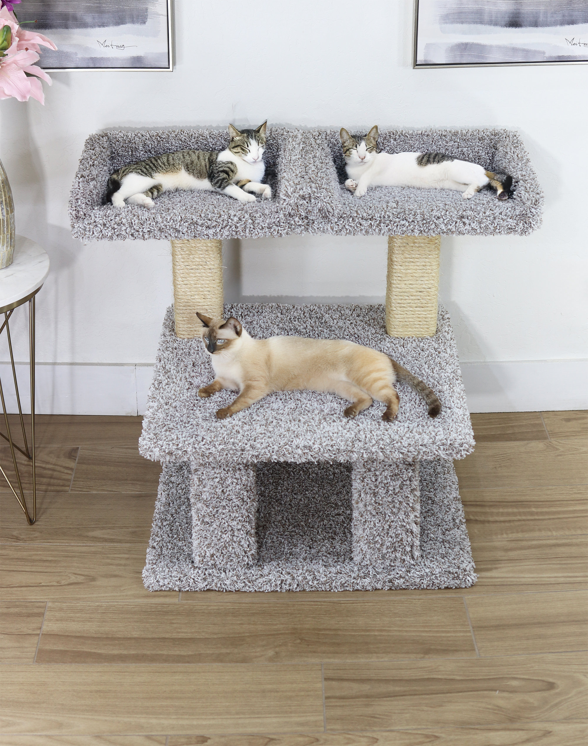 New Cat Condos Extra Large Cat Post with 2 Window Perches & Reviews ...