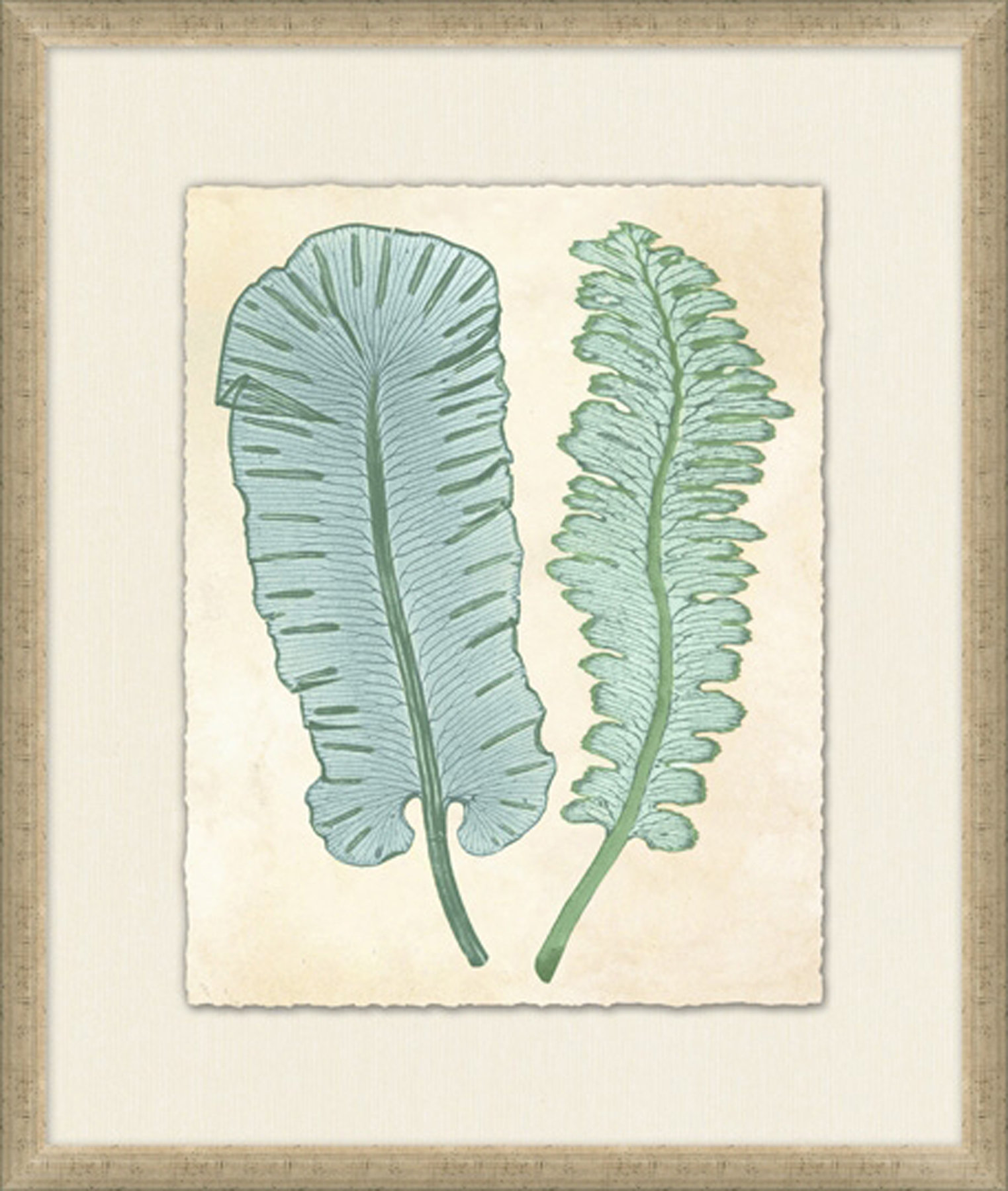 Wendover Art Group Spring Ferns 5 - Picture Frame Painting on Paper ...