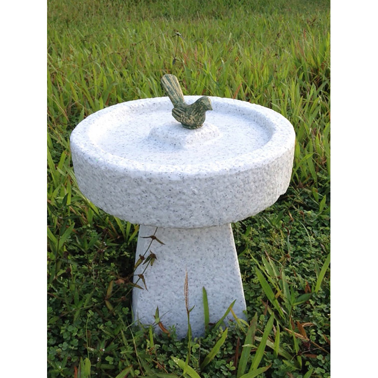 ENIGMA Bird On Bird Bath Granite 40Cm | Wayfair.co.uk