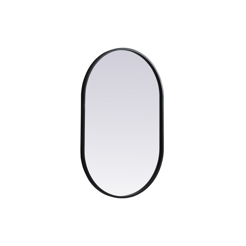 RE/FINE™ Sabine Metal Pill Wall Mirror & Reviews | Wayfair