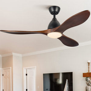 Ceiling Fans You'll Love | Wayfair