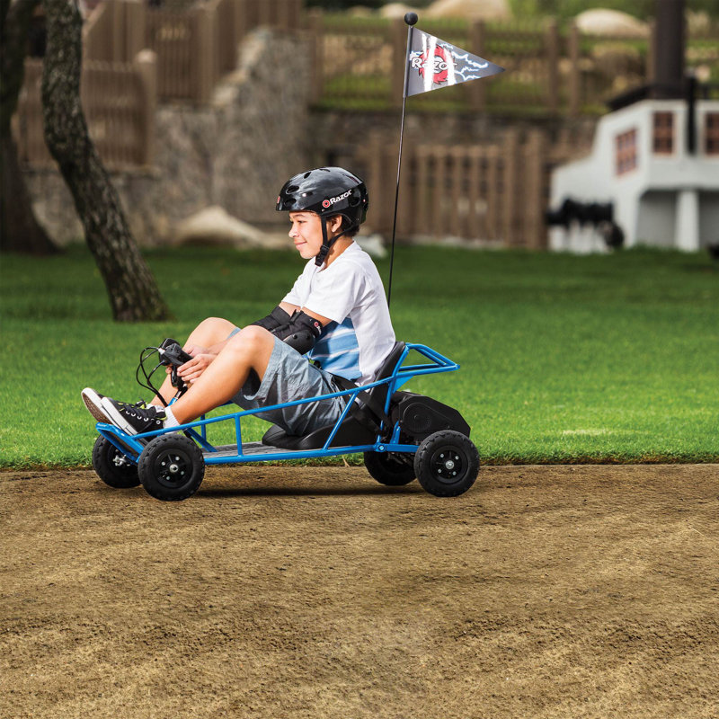 Razor Battery Powered Ride On Toy & Reviews | Wayfair
