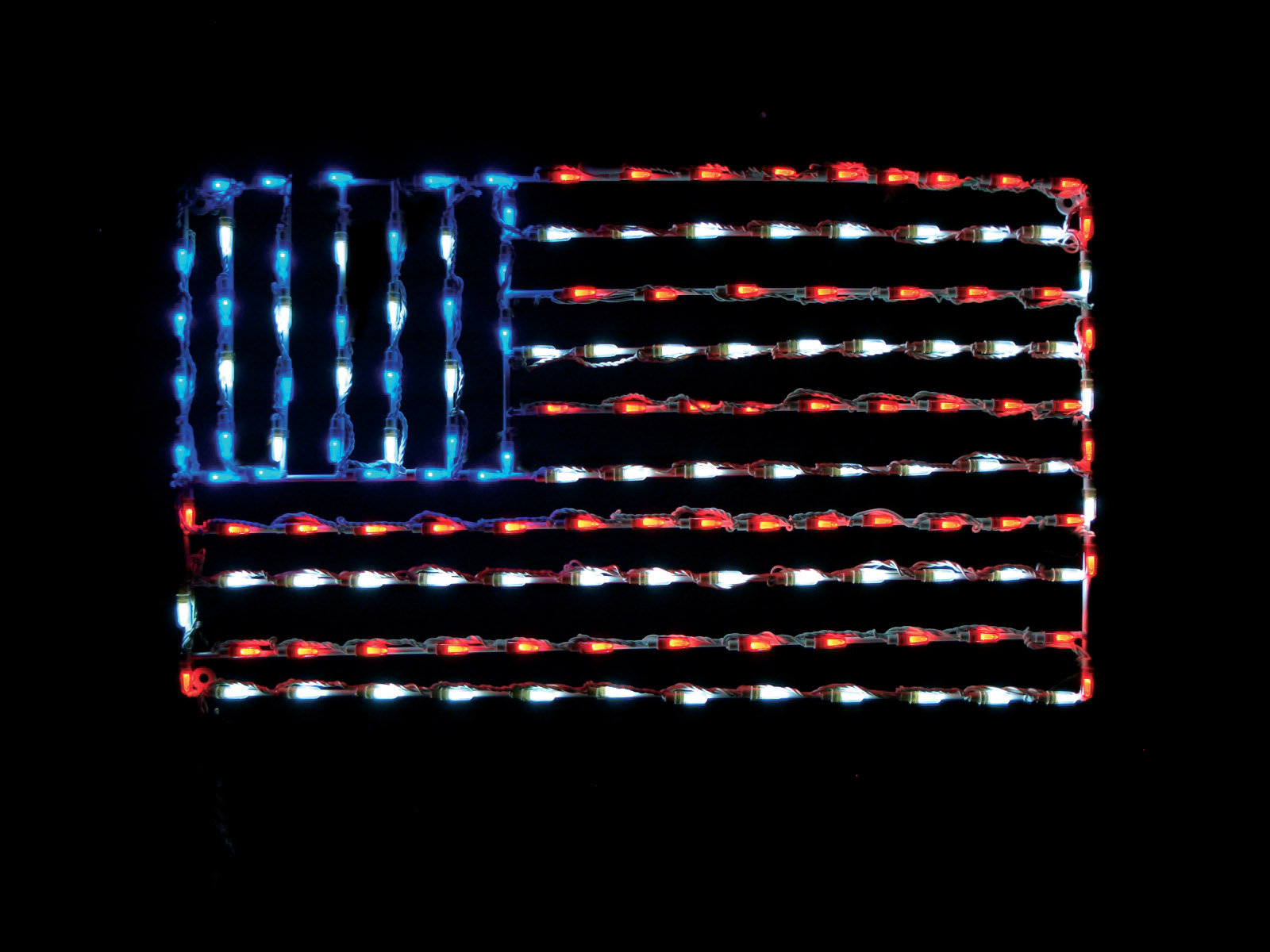 Brite Ideas American Flag LED Light | Wayfair
