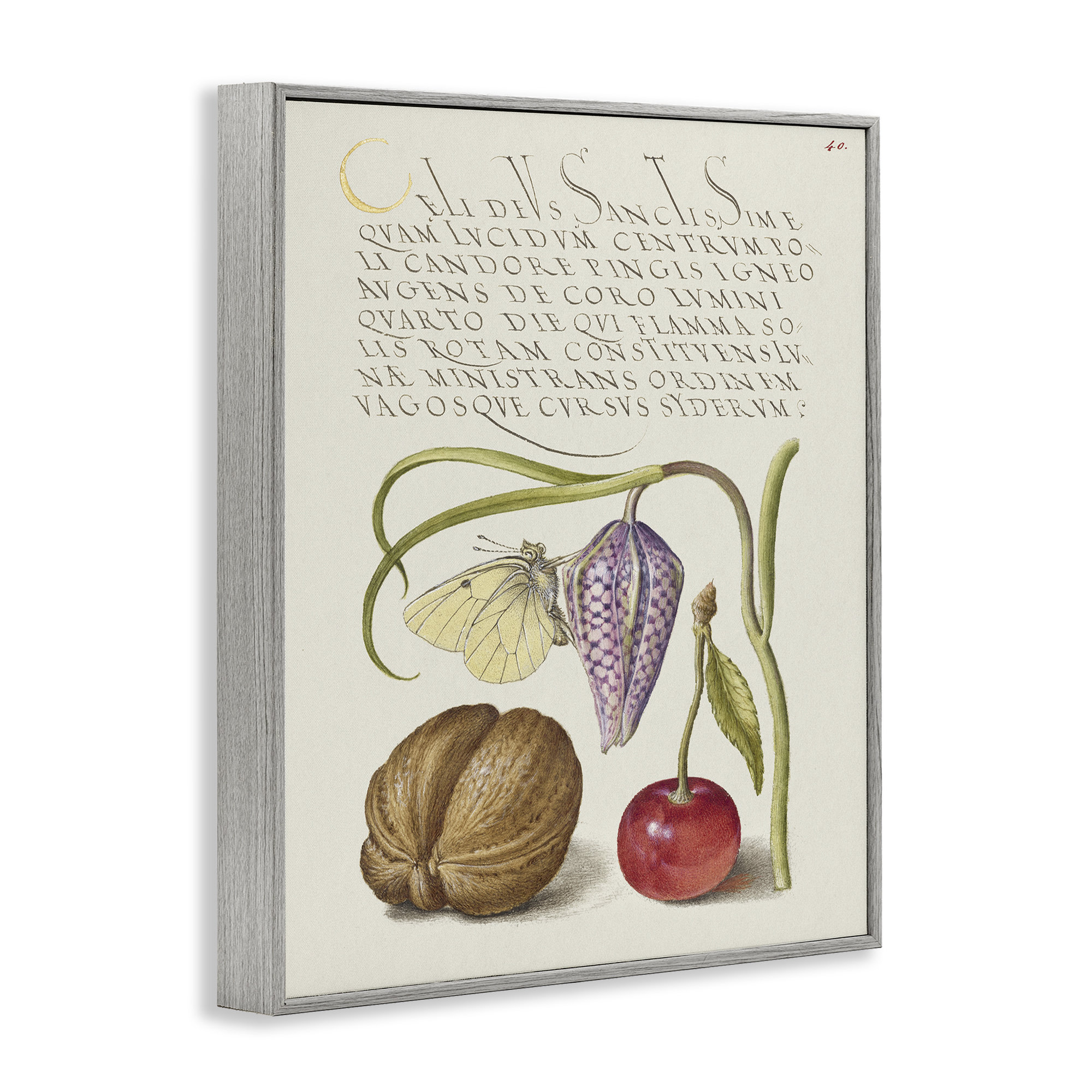 Ebern Designs Woodland Flora Study Giclee Art by Melissa Wang | Wayfair