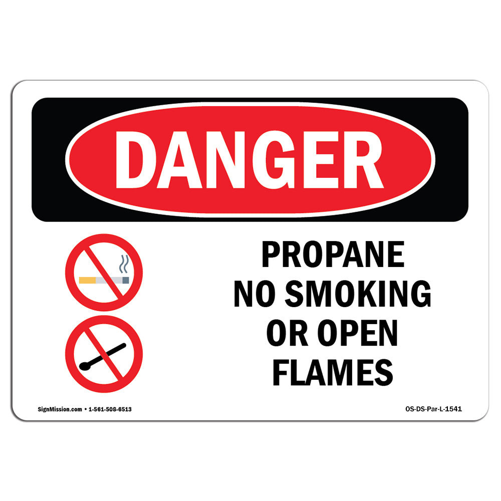 SignMission Propane No Smoking Or Open Flames Danger Sign - Wayfair Canada