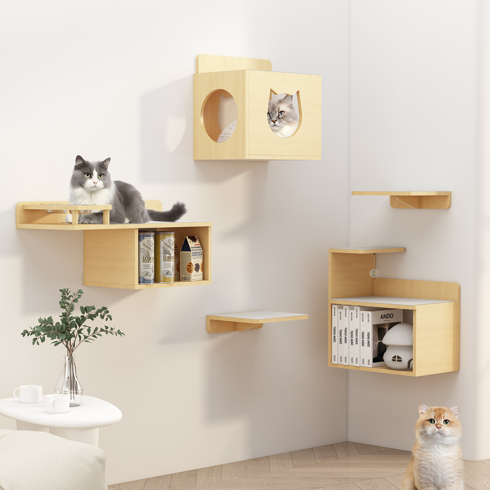 Tucker Murphy Pet™ 5 Pcs Wall-Mounted Wooden Cat Wall Shelves & Perches ...