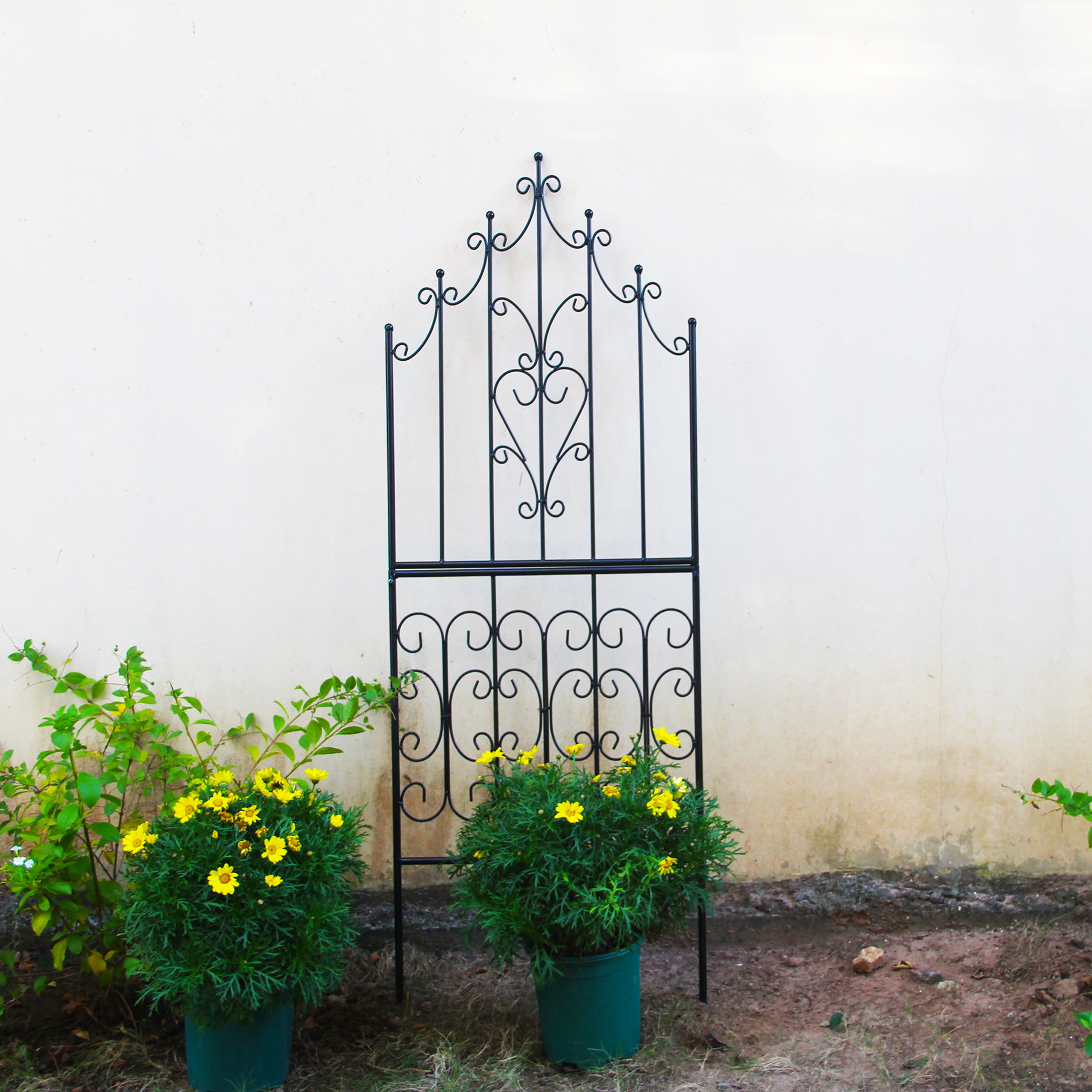Charlton Home Clodean 59'' H x 21.6'' W Iron Lattice Panel Garden ...