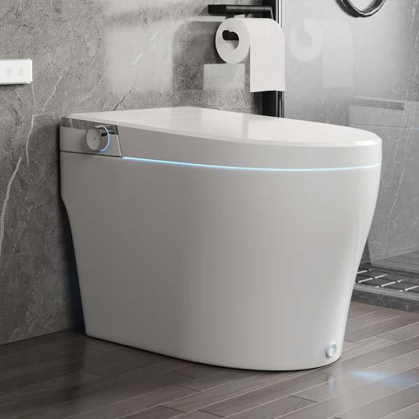 Bidet Toilets | Wayfair