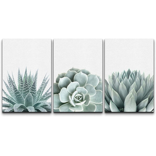 IDEA4WALL Green Succulent And Cactus Variety Wilderness Nature Framed ...