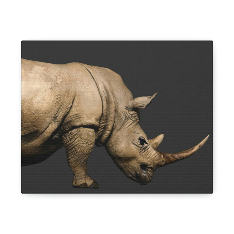 Hokku Designs Rhino by Kelly Johnson - Wrapped Canvas Graphic Art | Wayfair