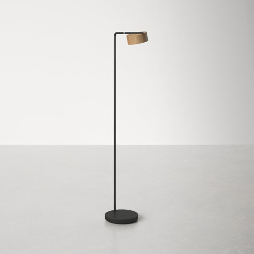 Modern Task Floor Lamps | AllModern