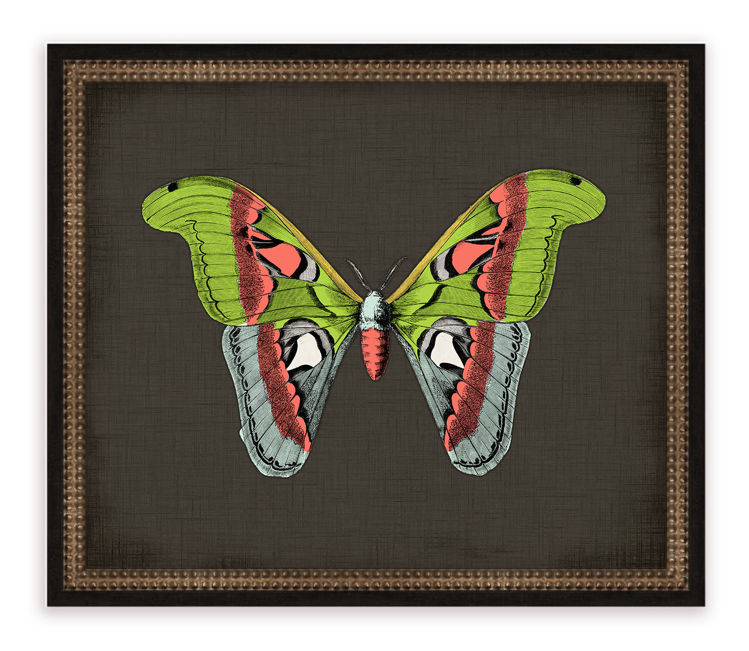 Melissa Van Hise Butterflies on Black VII Framed Graphic Art - Wayfair ...