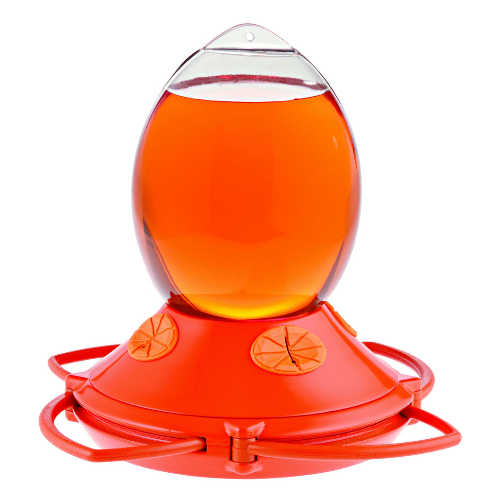 Latitude Run® Diera Perky Pet Opus Oriole Hummingbird Feeder - Wayfair ...