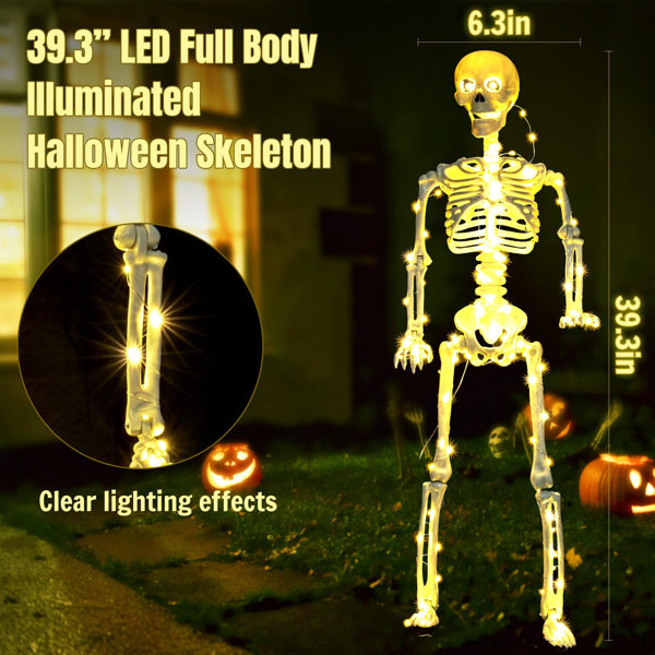 The Holiday Aisle® Light Up Posable Halloween Skeleton Duo - 40 Inches ...
