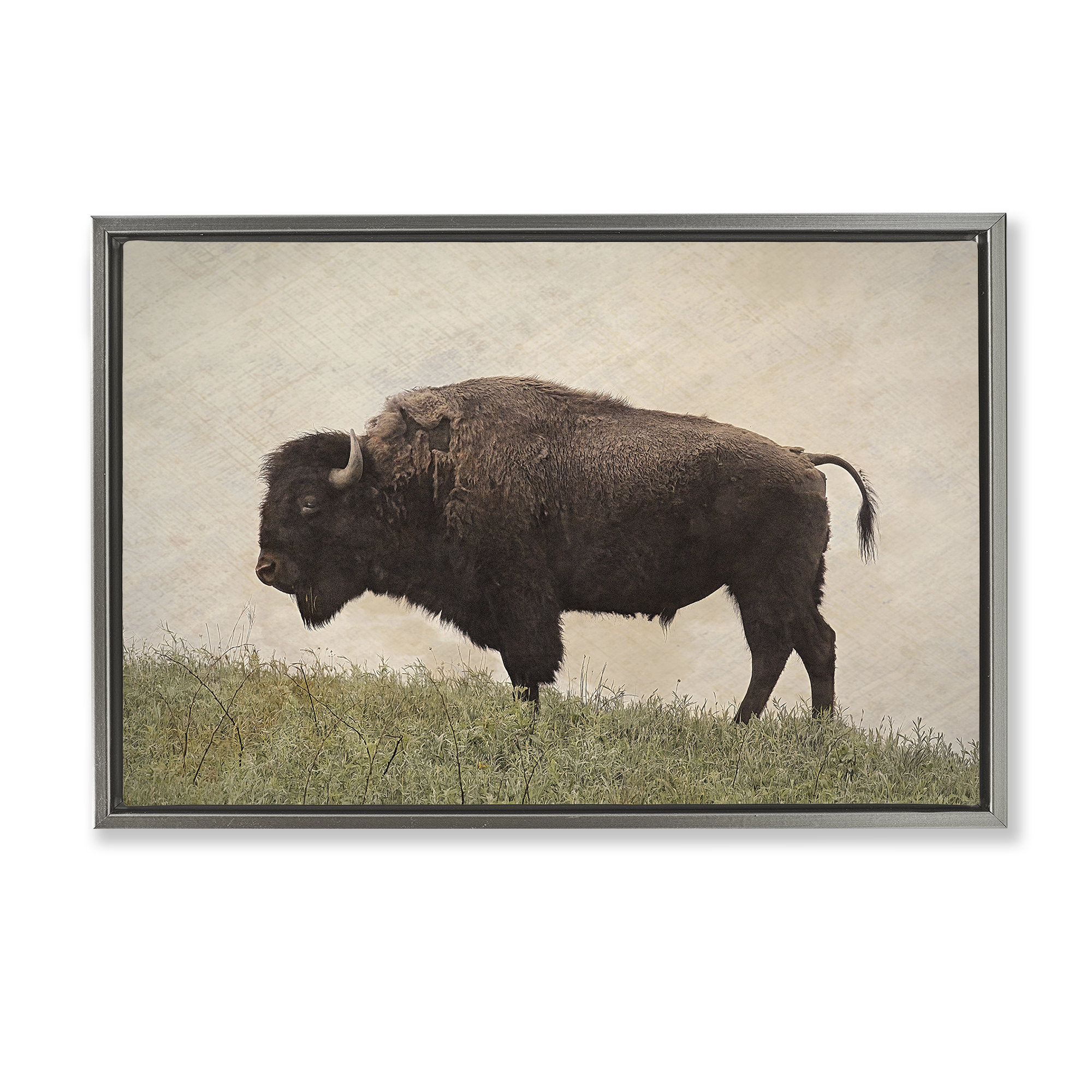 Ophelia & Co. Serene Buffalo on Country Hill Floating Frame, design by ...