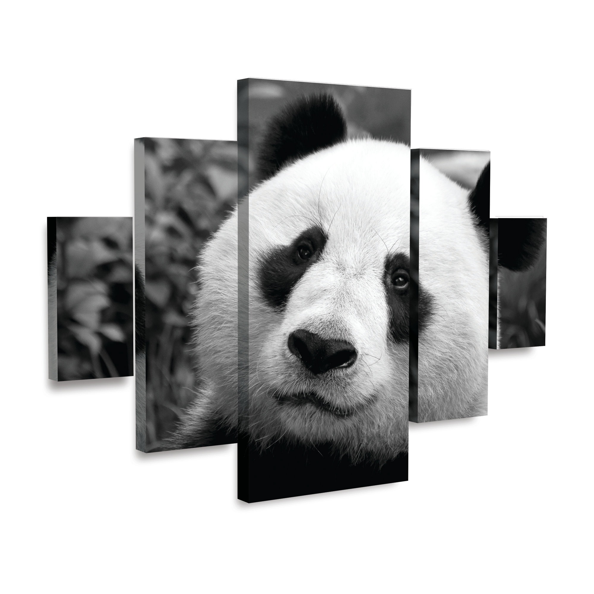 Red Barrel Studio SD Smart Giant Panda 5 Piece Panel Set Art - Wayfair ...