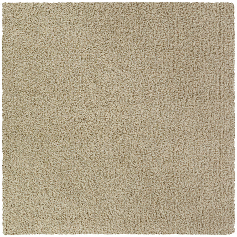 Wayfair Basics® Berrien Shag Beige Area Rug & Reviews | Wayfair