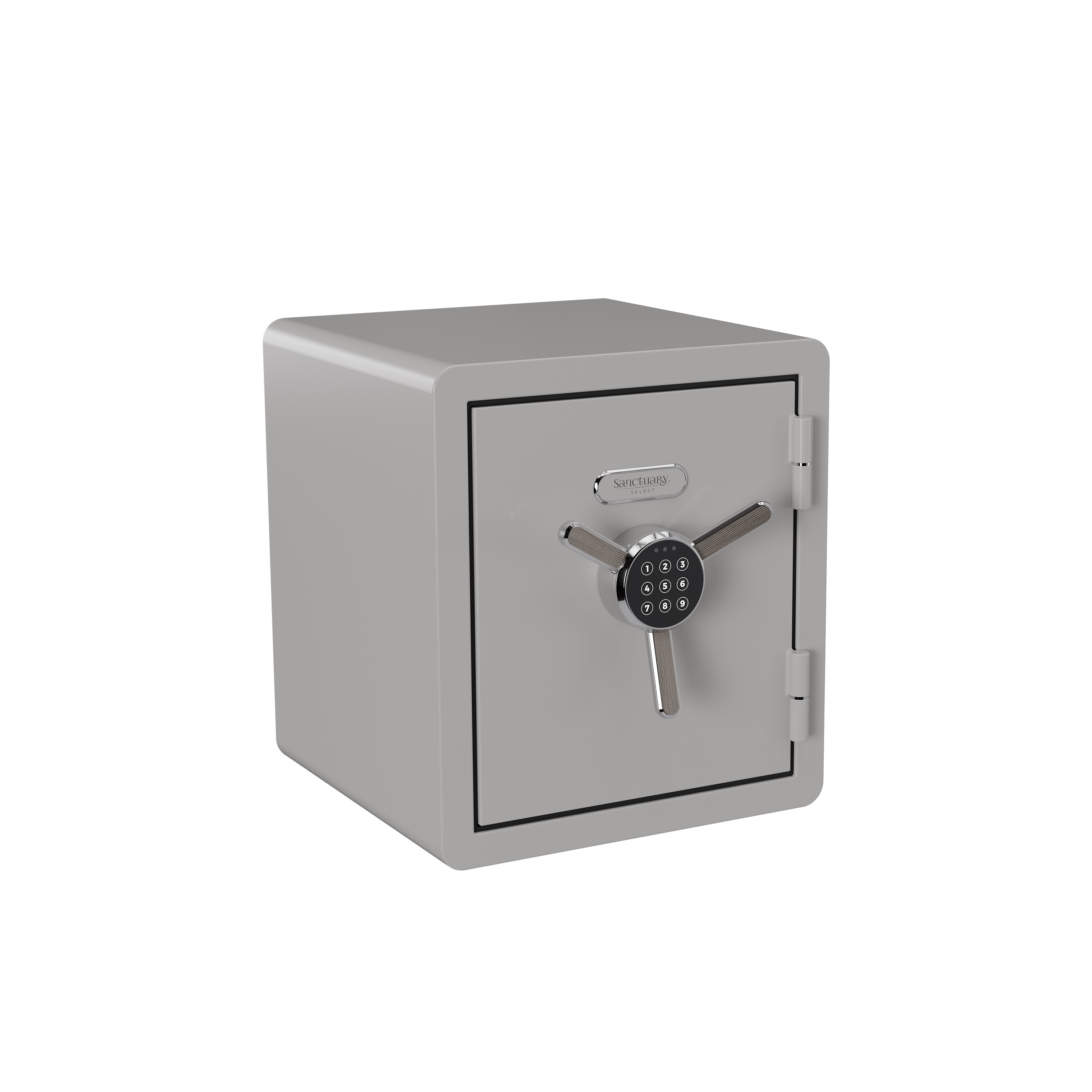Sanctuary Select 1.72 Cu Ft Home And Office Safe | Wayfair