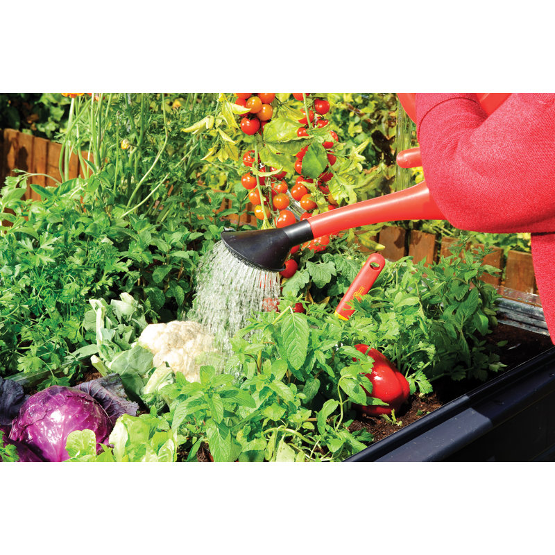Palram Plant Inn 4 Ft. W x 4 Ft. D Mini Greenhouse & Reviews | Wayfair
