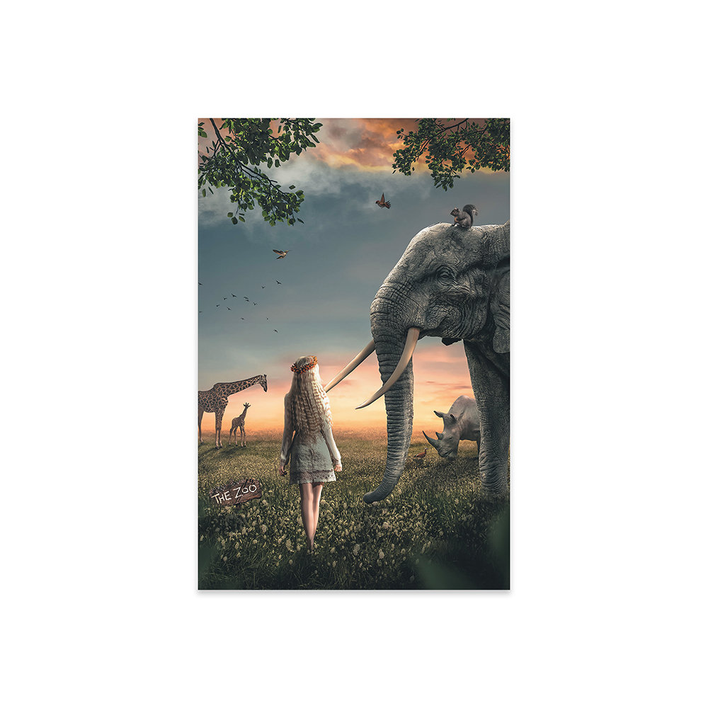 Dovecove The Zoo by Zenja Gammer - Unframed Graphic Art - Wayfair Canada