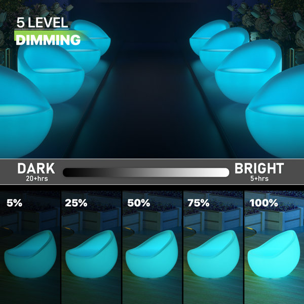 Orren Ellis Acord Egg Shape LED Light Up Chair Modern Lighting Seat RGB ...