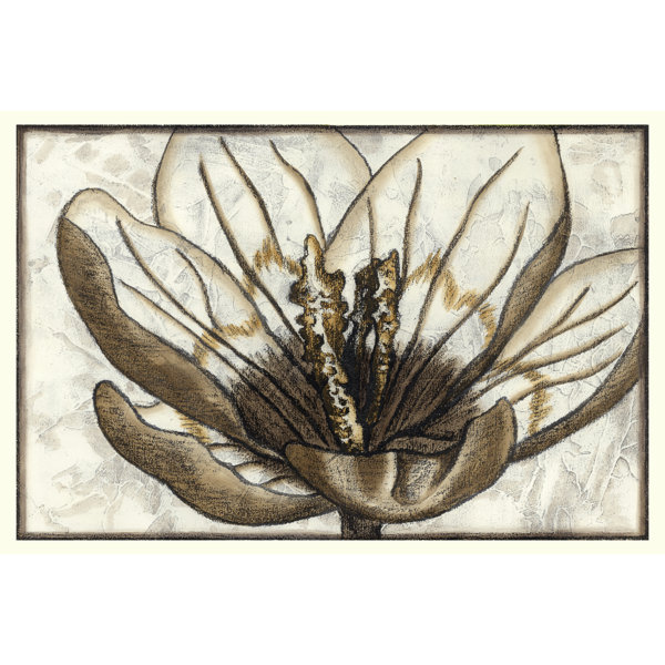 Rosalind Wheeler Fresco Flowerhead IV by Nancy Slocum - Wrapped Canvas ...