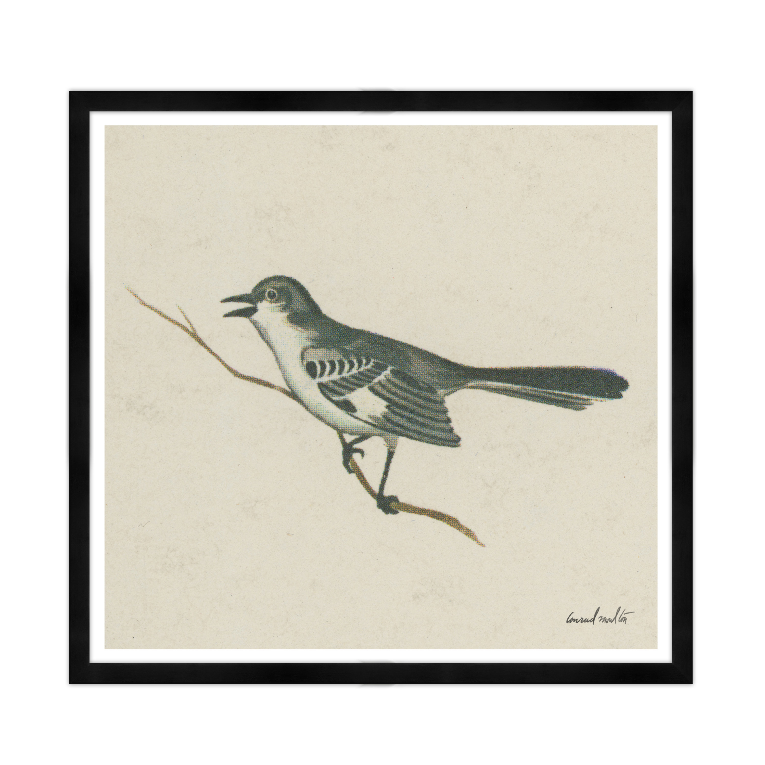 TK Home Mockingbird - Picture Frame Print | Perigold
