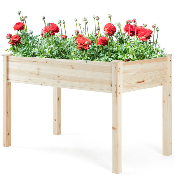 Gracie Oaks Raised Garden Bed, Elevated Wood Planter Box Stand ...