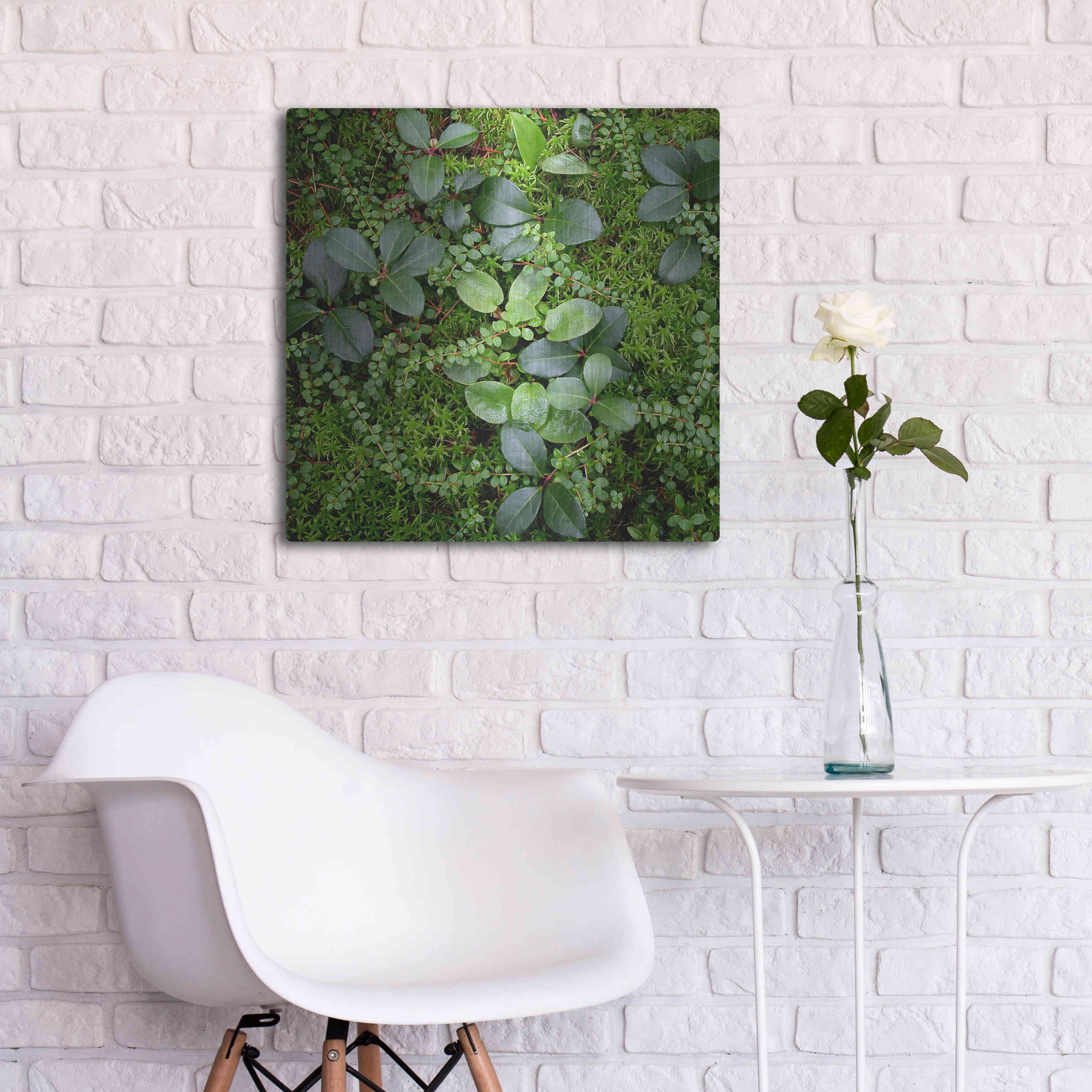 Latitude Run® ''Forest Floor Detail'' By Jan Bell Metal Wall Art ...
