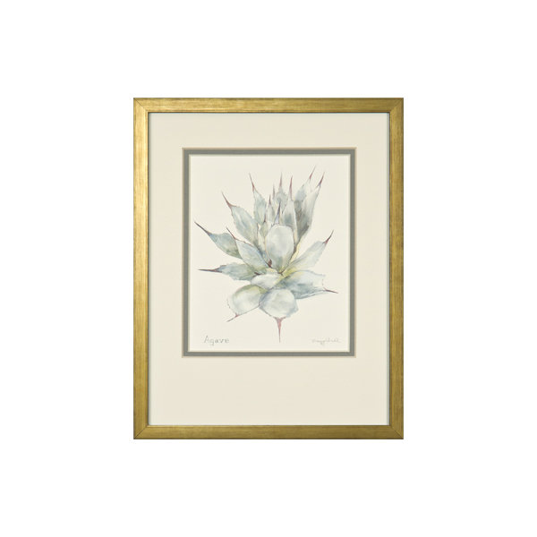The Natural Light Agave by Daughdrill - Picture Frame Painting | Wayfair