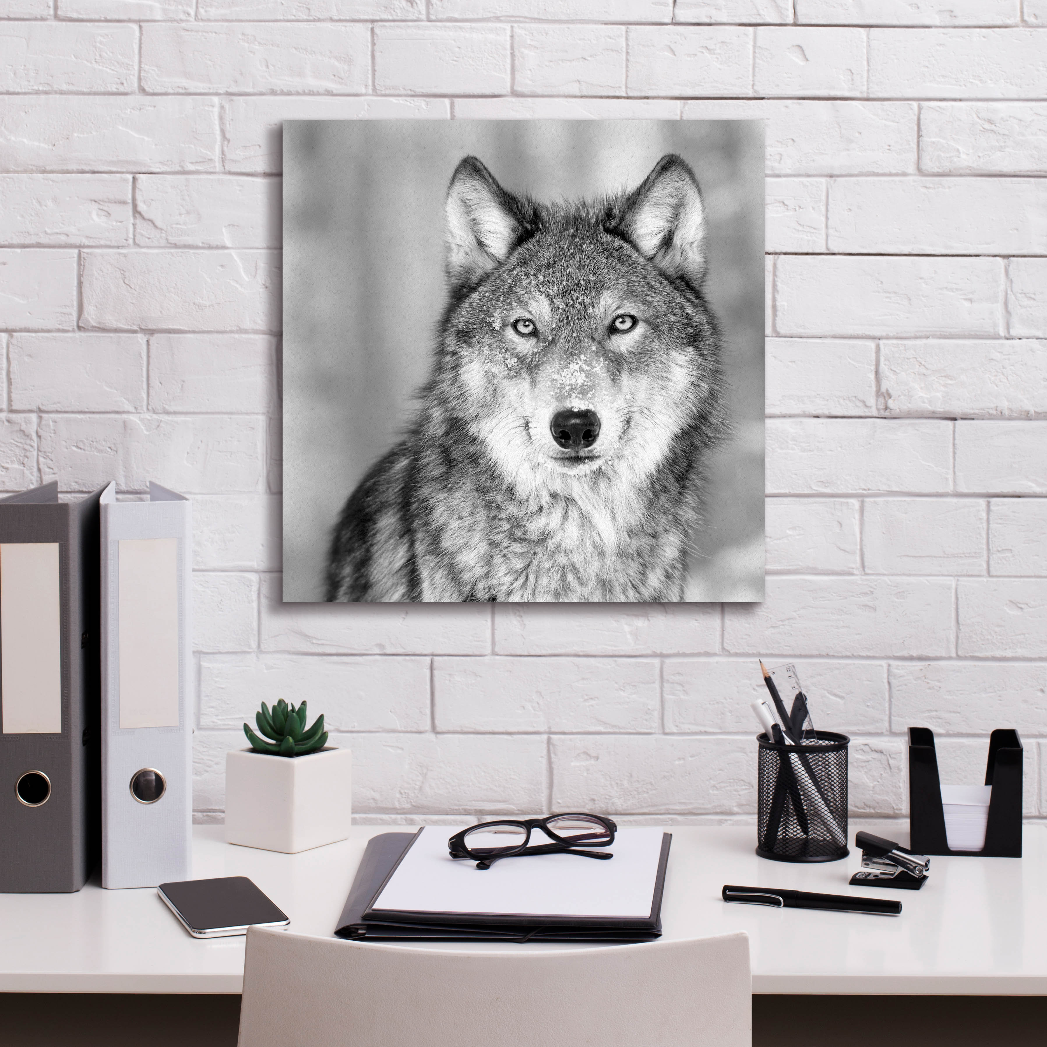 Epic Graffiti 'Wolf' by Photoinc Studio, Canvas Wall Art, 18"x18" | Wayfair
