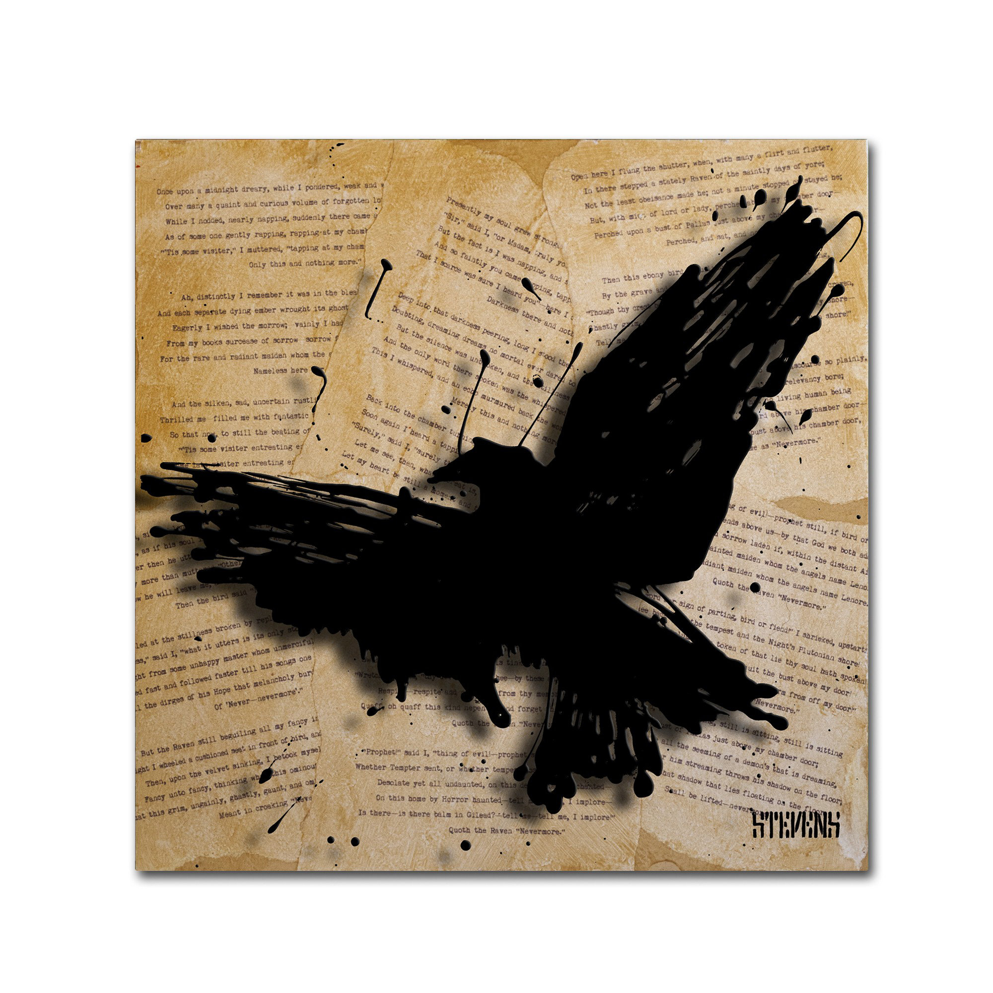 Charlton Home® The Raven 2 by Roderick Stevens - Graphic Art Print on ...