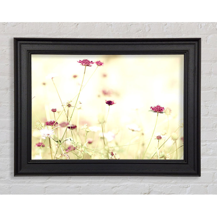 Ophelia & Co. Wildflowers In Stunning Sunlight - Single Picture Frame ...