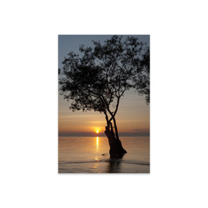 Ebern Designs Sunset Silhouette On Plastic/Acrylic by Aaron Matheson ...