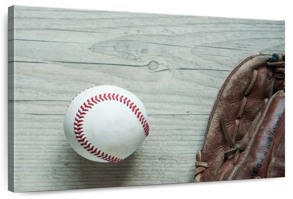 Ebern Designs Sireci Baseball Essentials | Wayfair