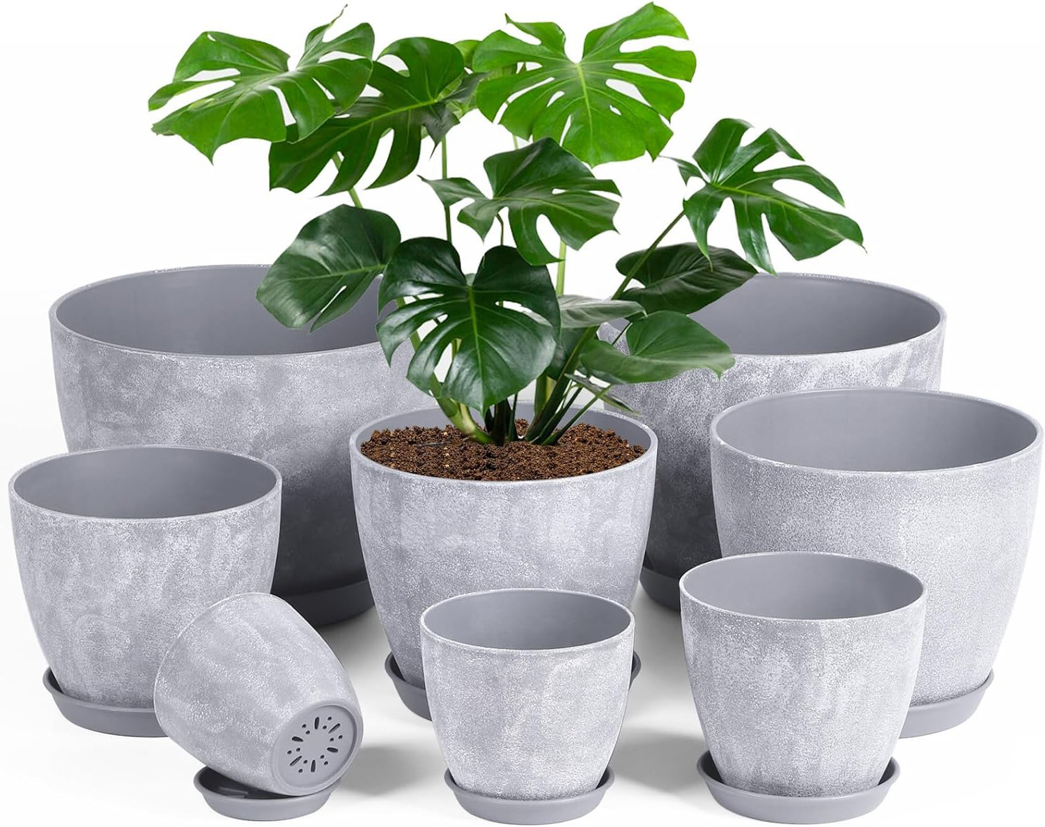 Latitude Run® Set of 8 planters 10/9/8/7.5/6.5/5.7/5/4 inch large planters - Wayfair Canada