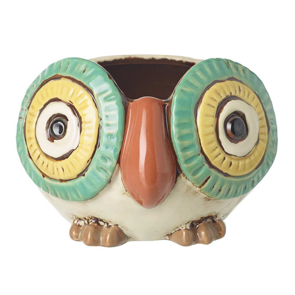 Alpen Home Owl Planter | Wayfair.co.uk