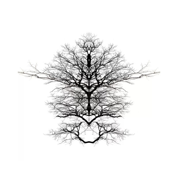 Borough Wharf Infinite Complexity by Irena Orlov - Wrapped Canvas ...