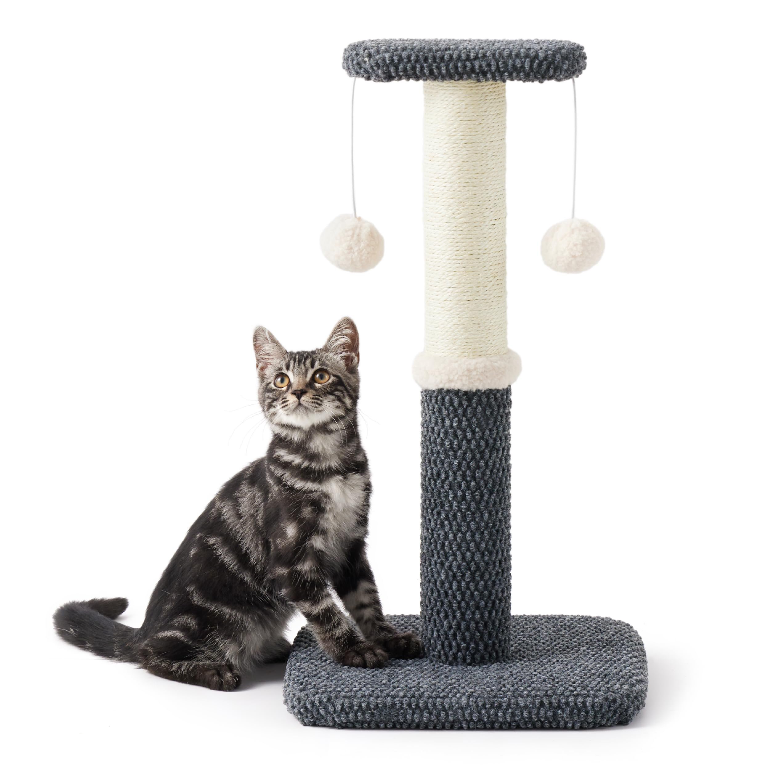 Lesure Cat Scratching Post for Indoor Cats - Highly Resistant Carpet ...