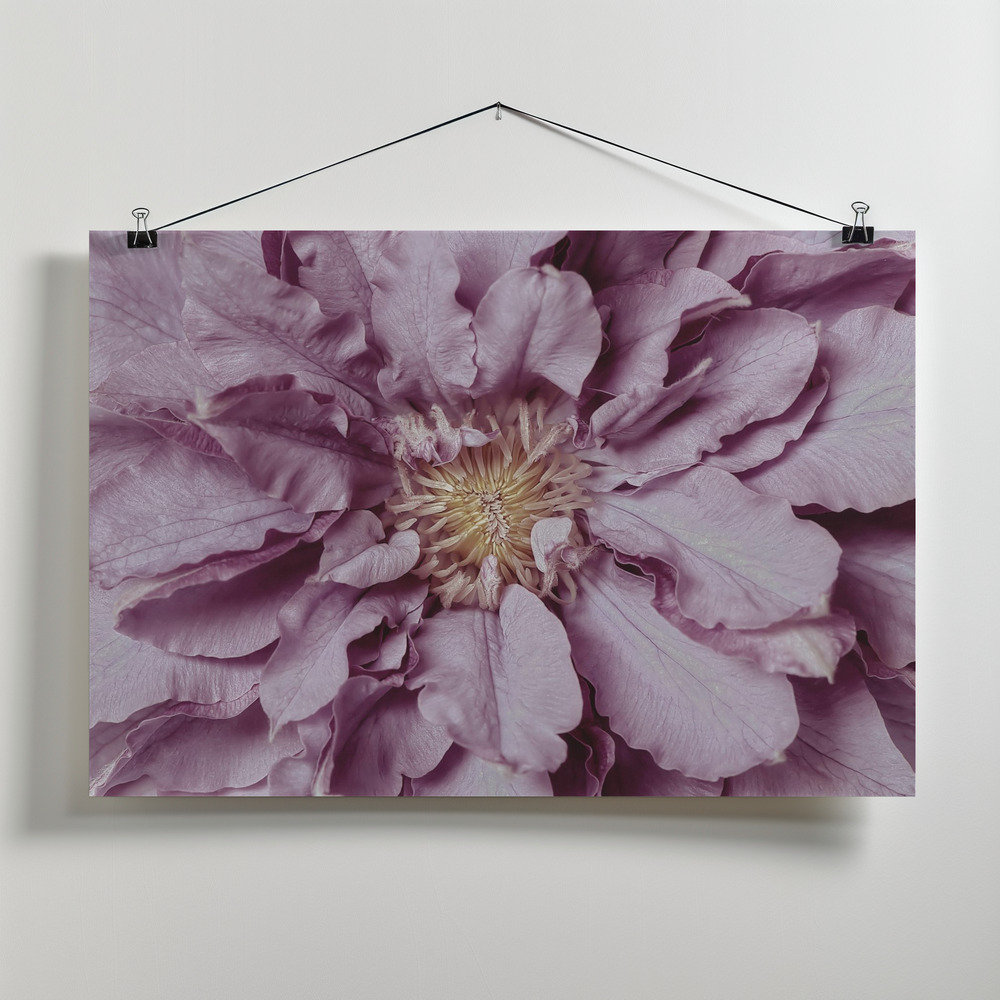 ClassicLiving Petal Perfection | Wayfair.co.uk