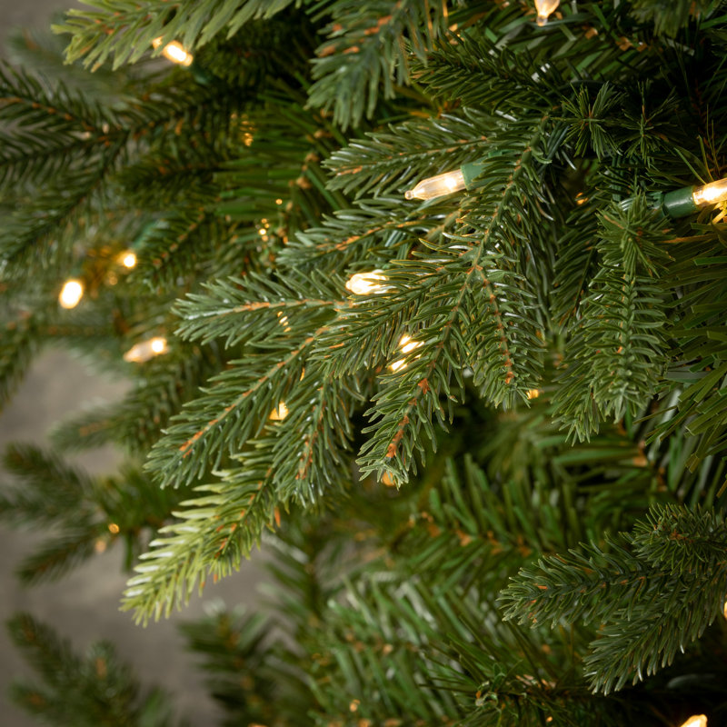 The Holiday Aisle® 9' Lighted Artificial Pine Christmas Tree | Birch Lane