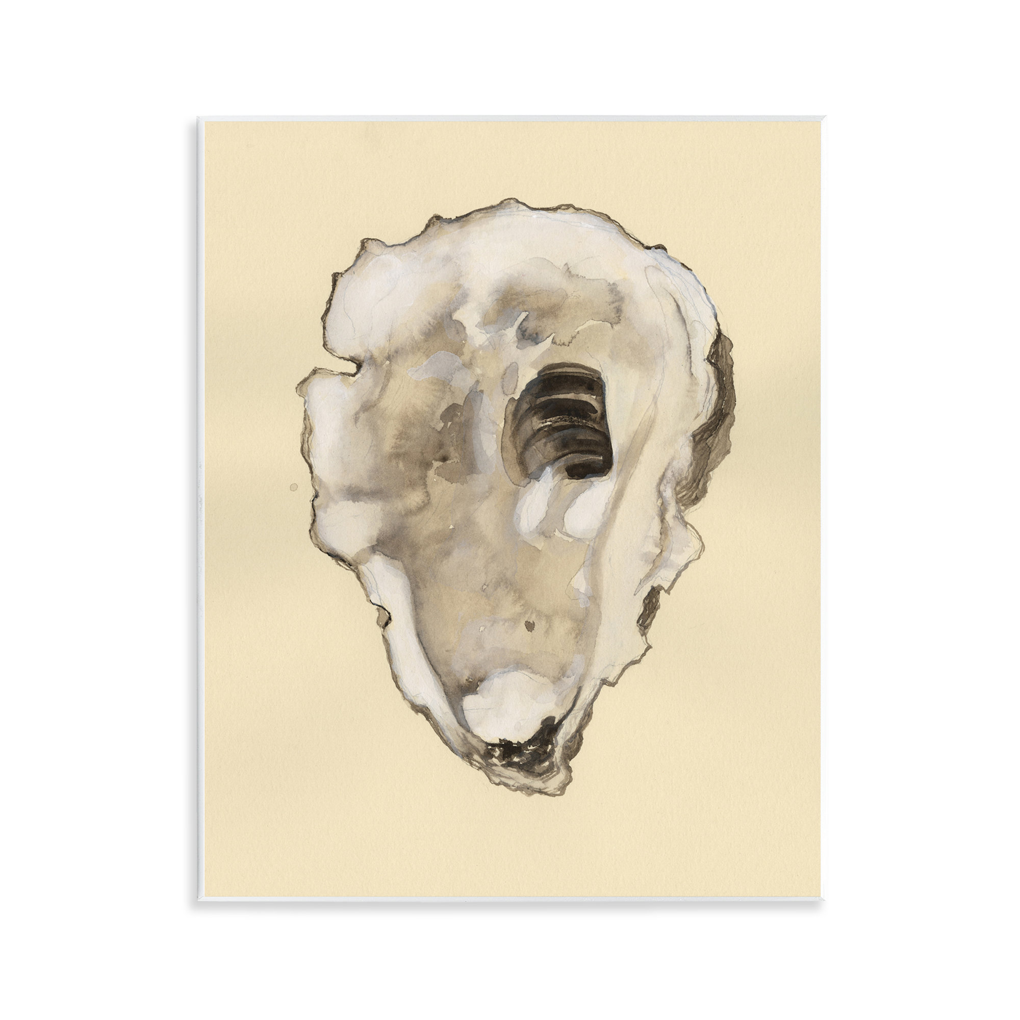 Ebern Designs Beige Oyster Shape Wall Plaque Art by Michael Willett ...