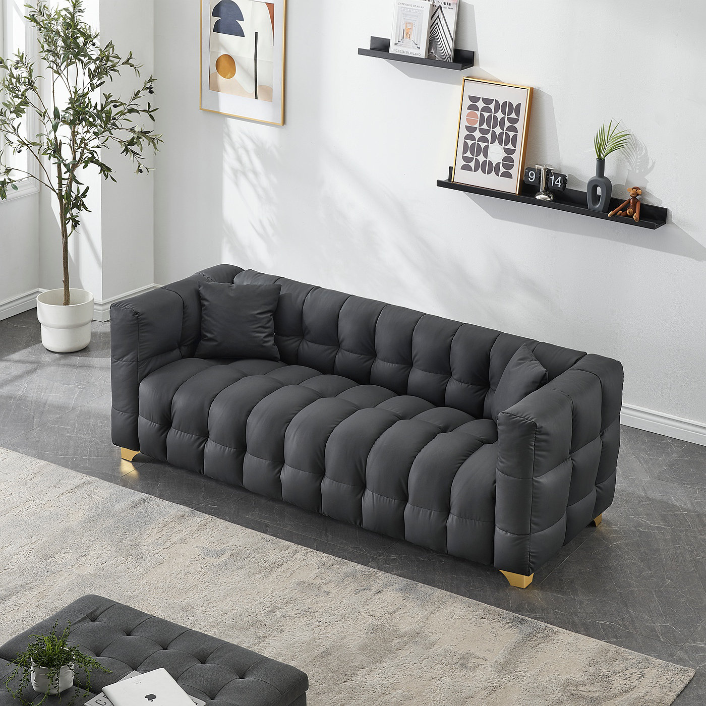 Ivy Bronx 80 Inches Long, 21.7 Inches Deep, American Body Structure ...